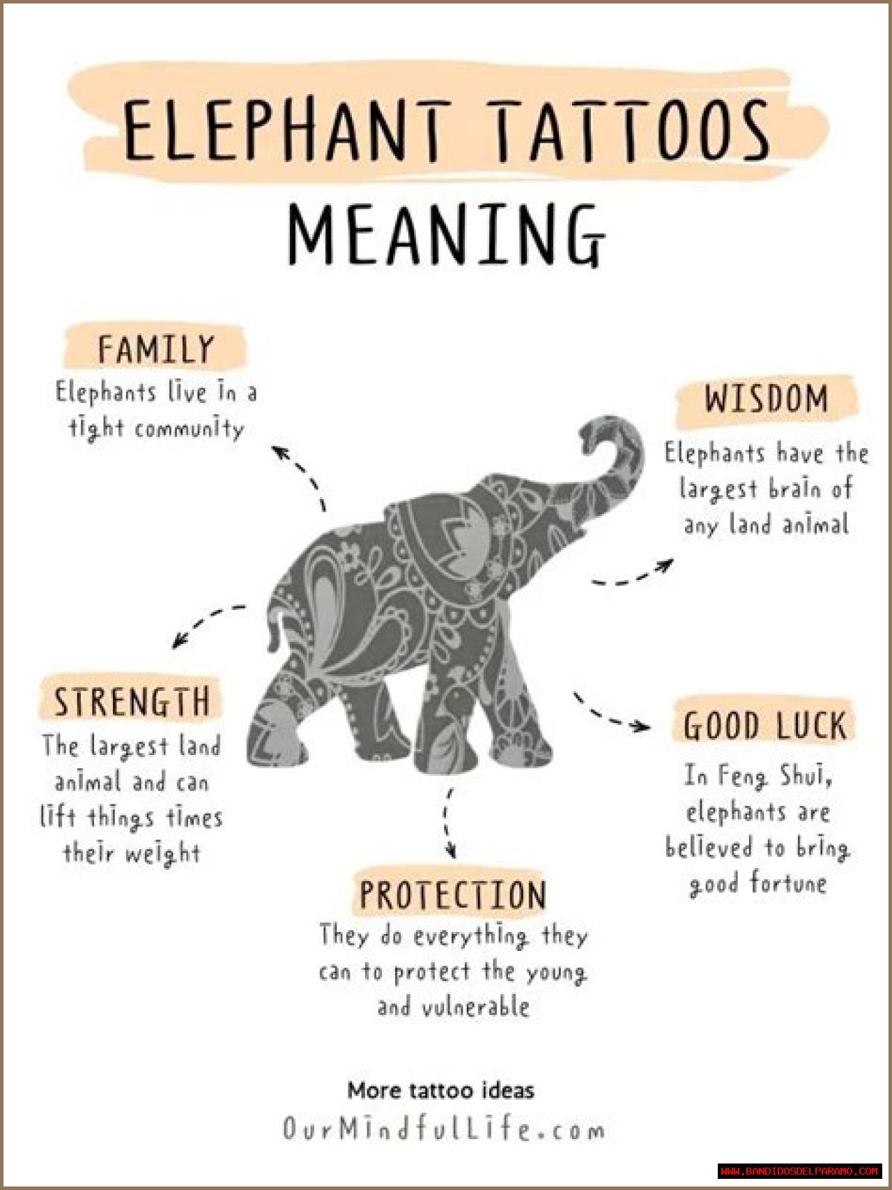 The Meaning Of 3 Elephant Tattoos And Their Symbolism